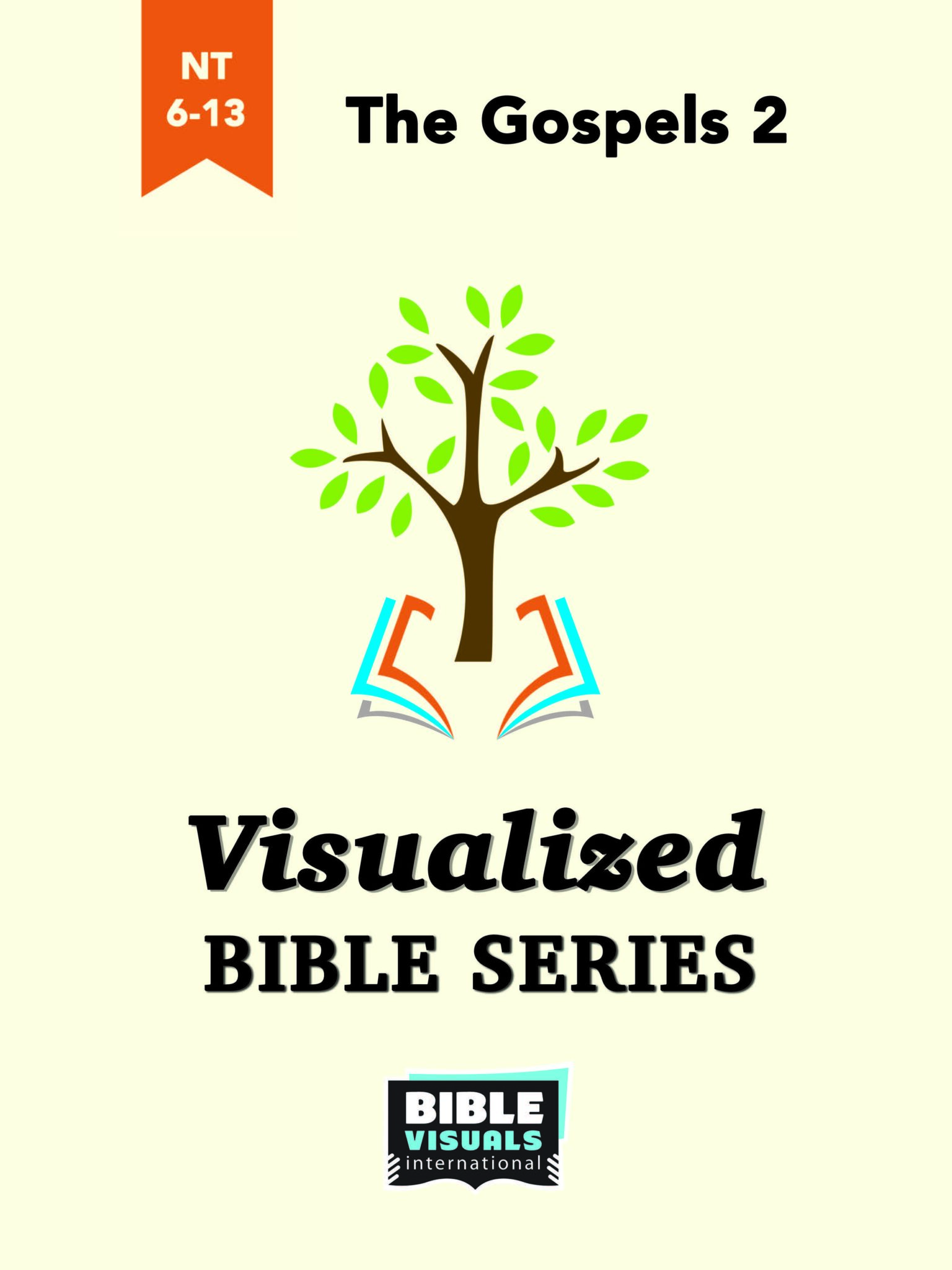 1208 Visualized Bible Series Set 08 | NT Volumes 06 - 13 - Bible ...